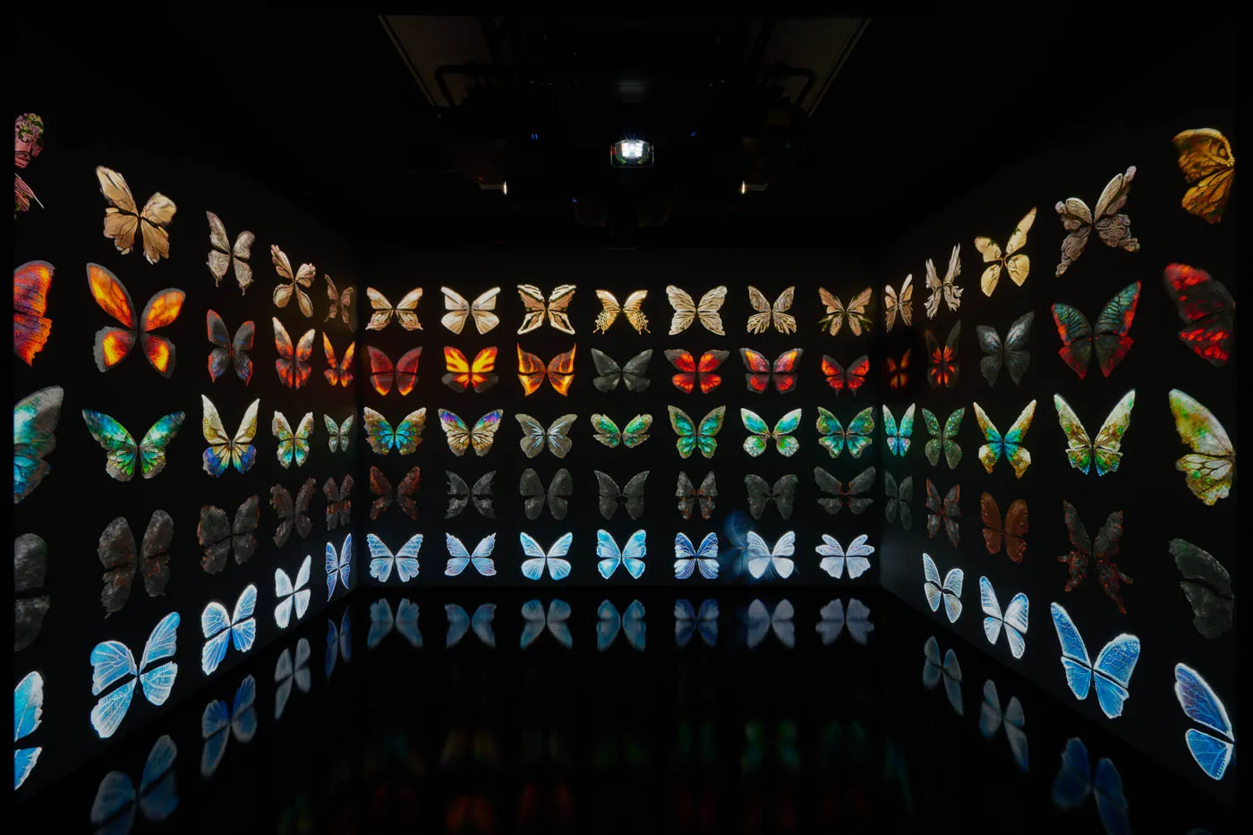 Dominic Harris - artworks